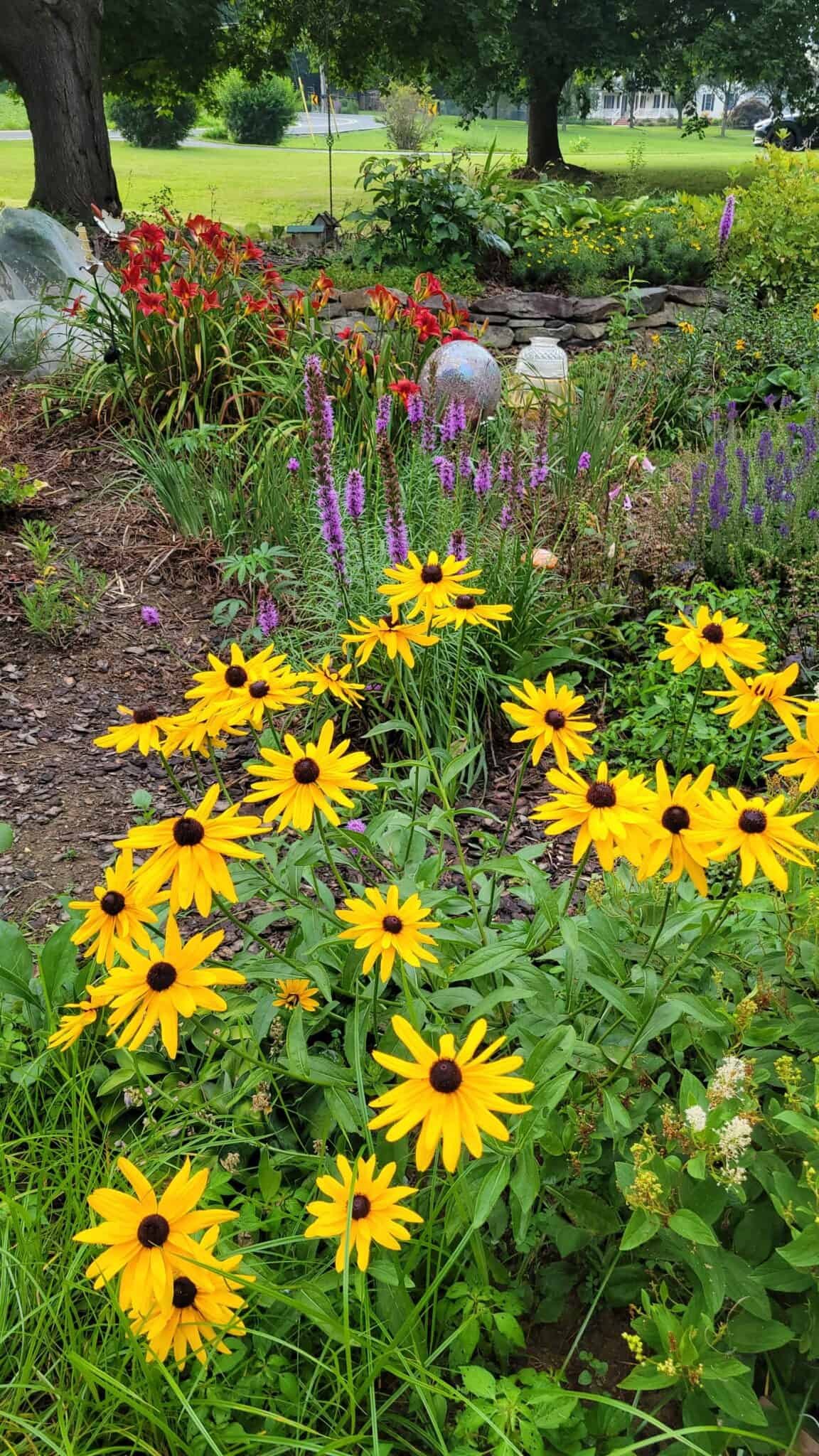 Top Companion Plants for Coneflowers (For a Longer Bloom Season)