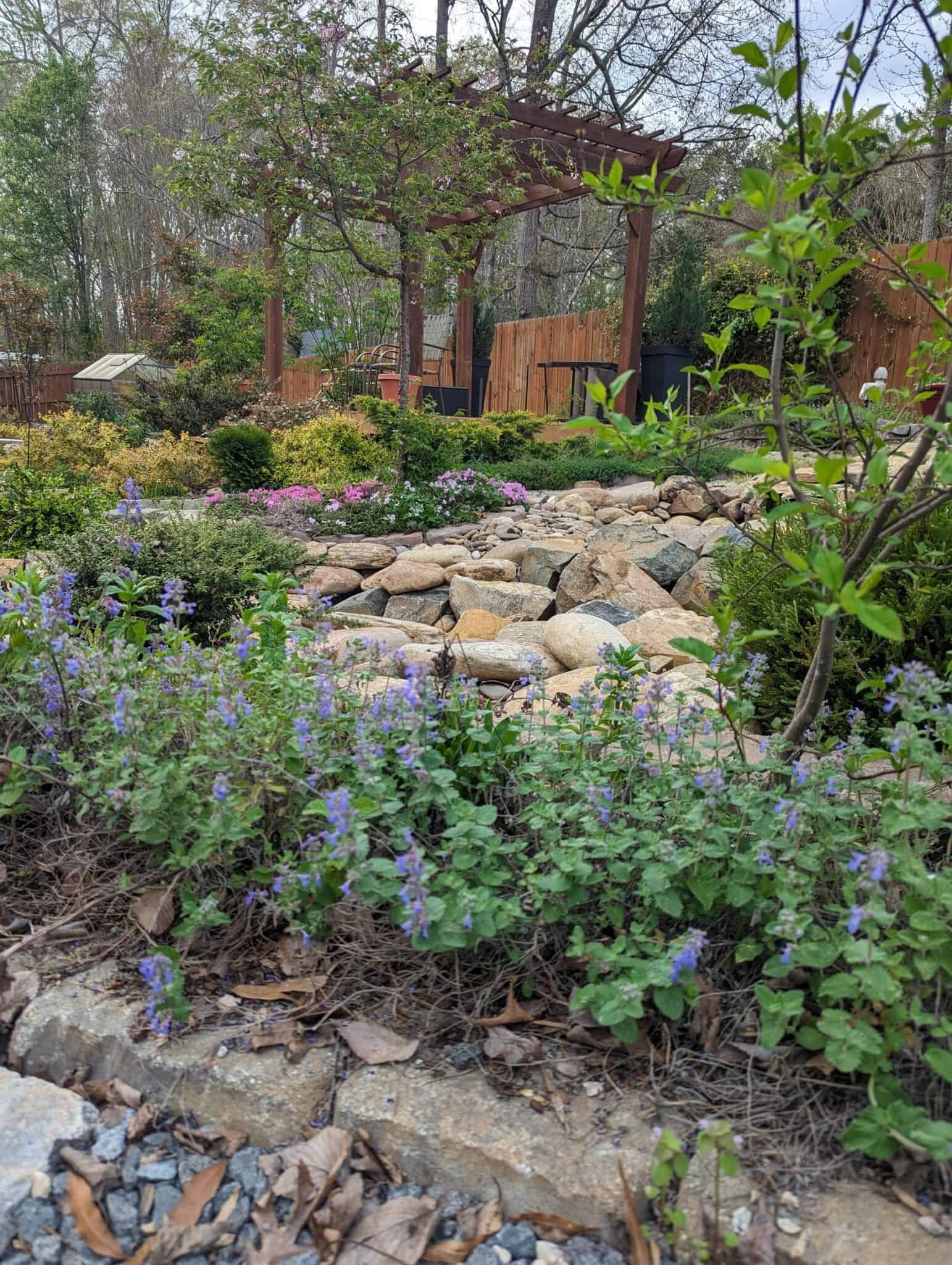 Flower Borders Plants With Minimal Care