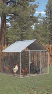 24 Chicken Coop Ideas To Build A Safe Cozy Home