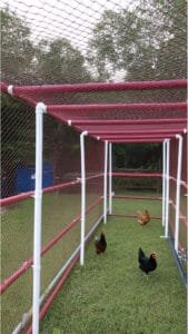 24 Chicken Coop Ideas To Build A Safe Cozy Home