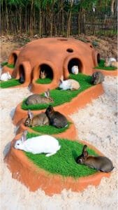 23 Garden Rabbit Playground Ideas for Happy and Active Bunnies