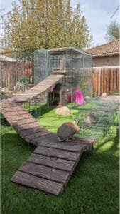 23 Garden Rabbit Playground Ideas for Happy and Active Bunnies