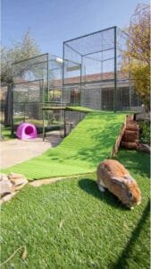 23 Garden Rabbit Playground Ideas for Happy and Active Bunnies