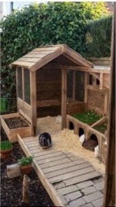 23 Garden Rabbit Playground Ideas for Happy and Active Bunnies