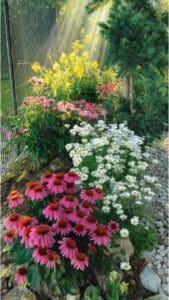 29 Flower Garden Ideas To Brighten Your Outdoor Space