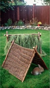 23 Garden Rabbit Playground Ideas for Happy and Active Bunnies