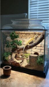 25 Garden Terrarium Ideas To Bring Nature Into Your Home