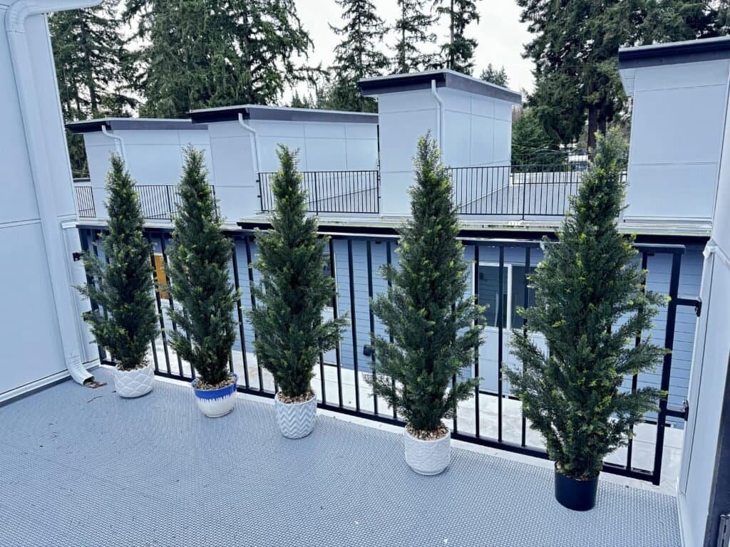 10 Stunning Trees for Privacy Screens (That Actually Work)